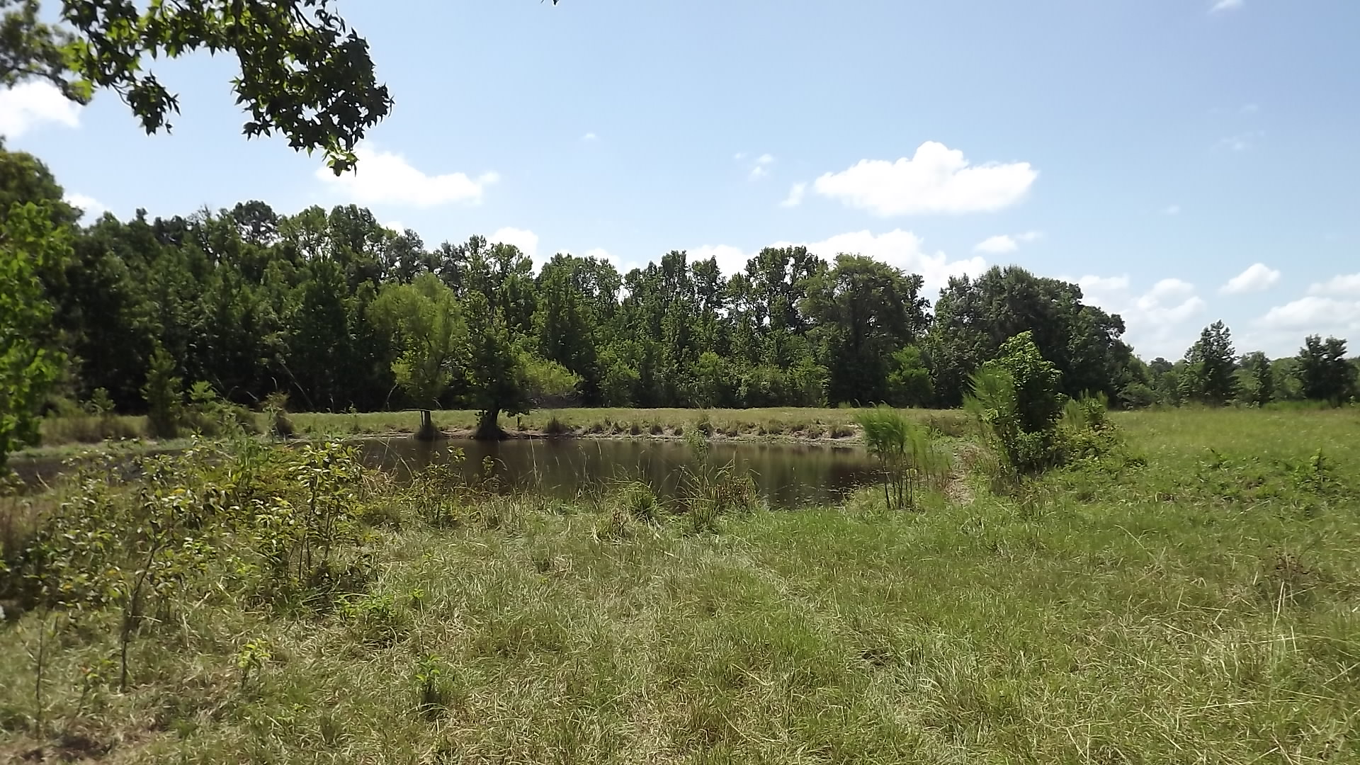 Journey Journal (Blog) – The Wheeler's Country Road